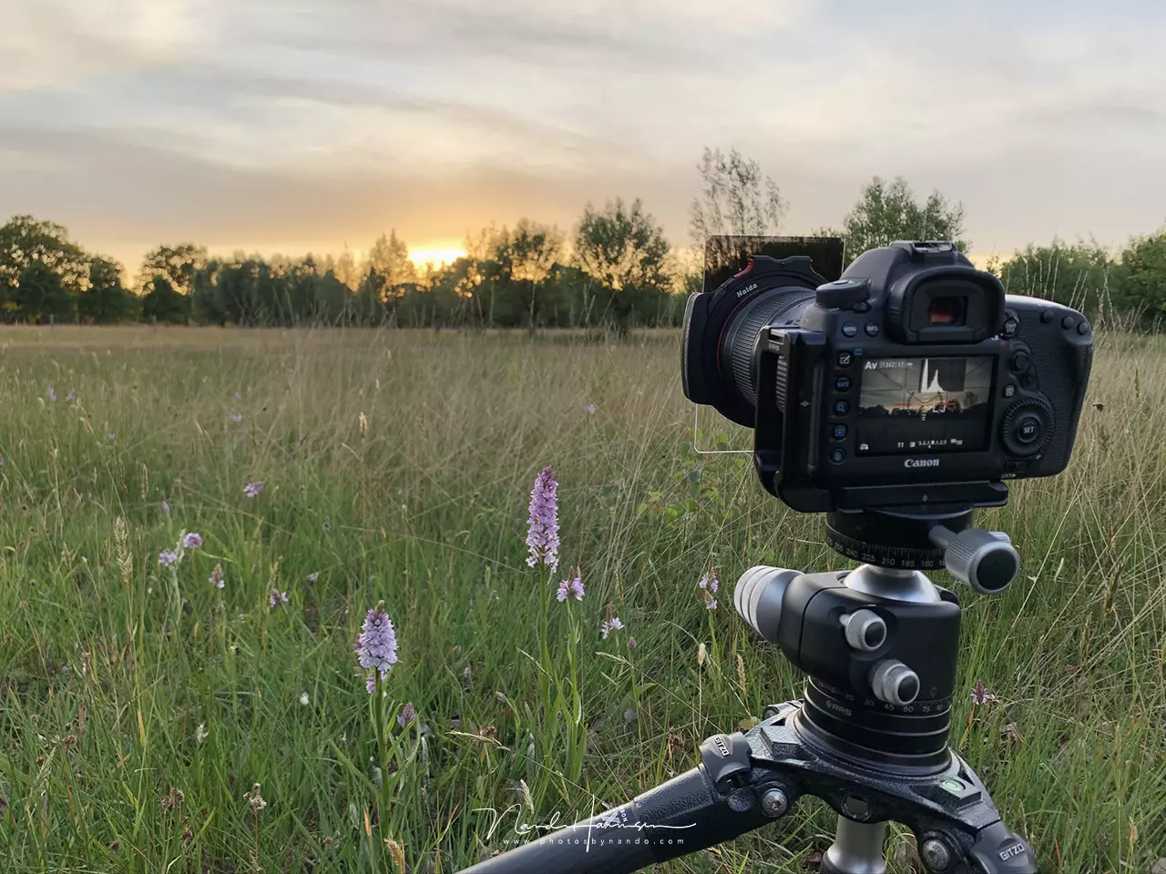 4 manieren om de voorgrond en achtergrond in een landschapsfoto te manipuleren 3600_1