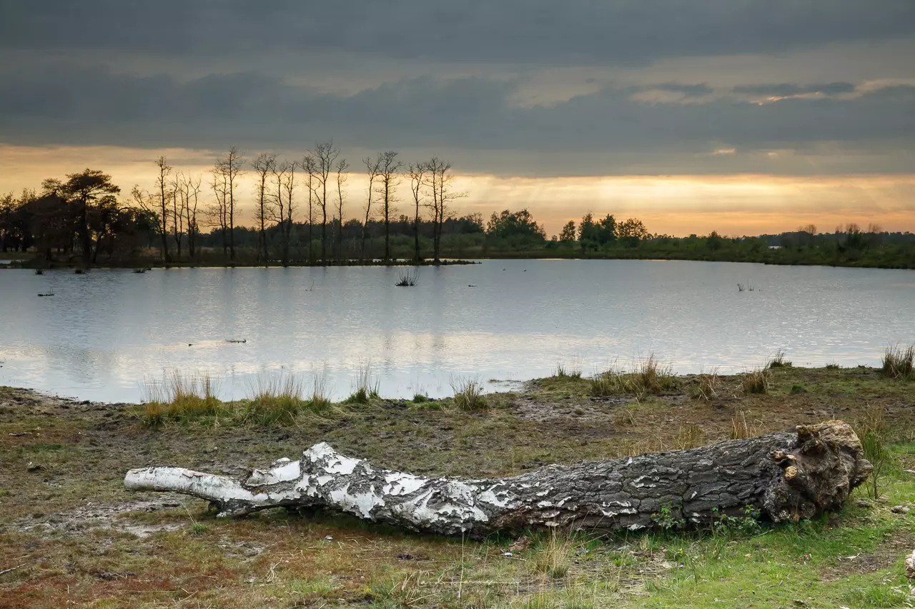 4 manieren om de voorgrond en achtergrond in een landschapsfoto te manipuleren 3600_6