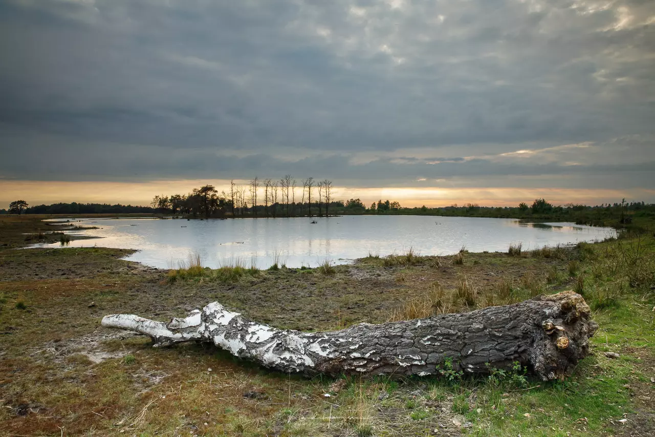 4 manieren om de voorgrond en achtergrond in een landschapsfoto te manipuleren 3600_7