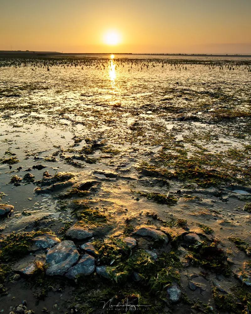 Izmantojiet interesantu priekšplānu savam ainavas fotoattēlam 3601_10