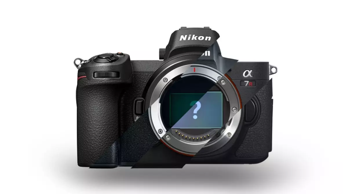 Die gewildste kameras van 2018: hoe kompeteer Canon en Nikon se spieëllose kameras?