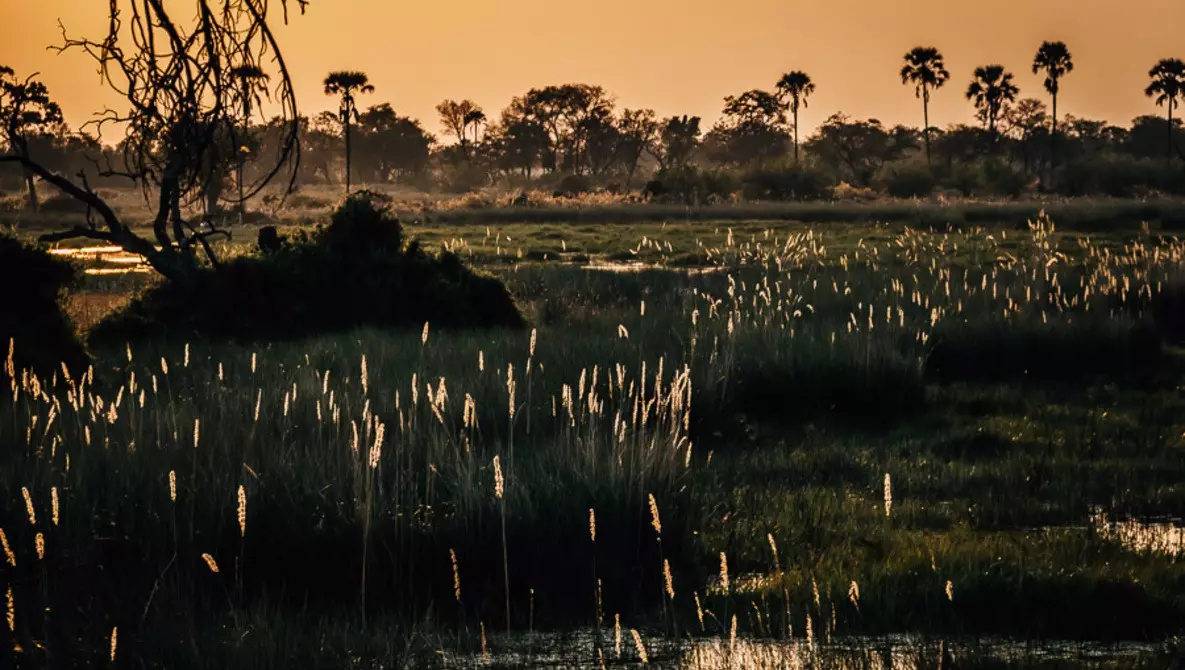 Kan natuurfotografie help om u beelde te verbeter?