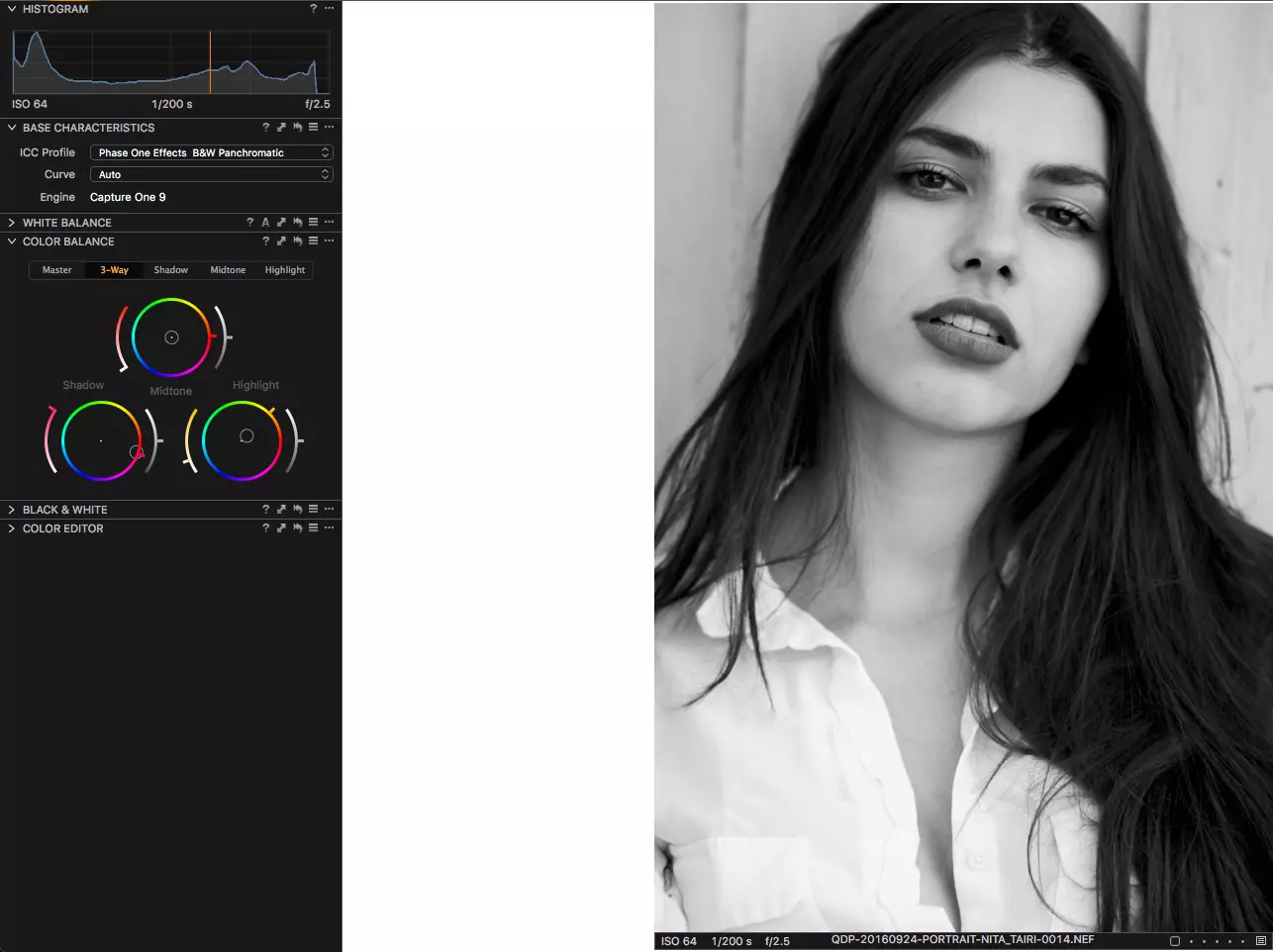 Capture One を使用して、RAW ファイルからカメラから直接完璧な色を取得する方法 3662_2