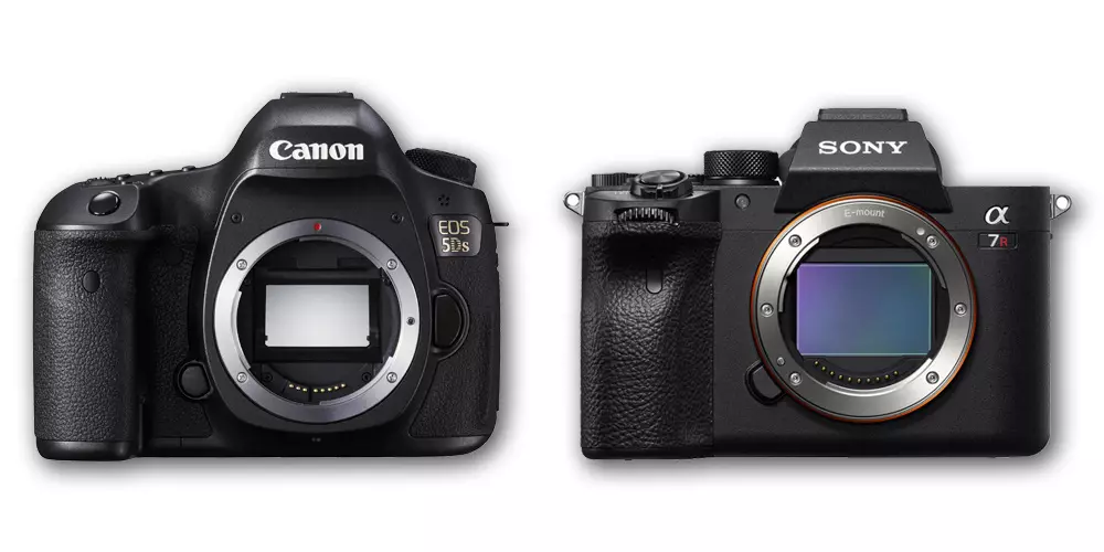 من یک DSLR در سال 2021 خریدم: چرا شما هم باید 3674_2