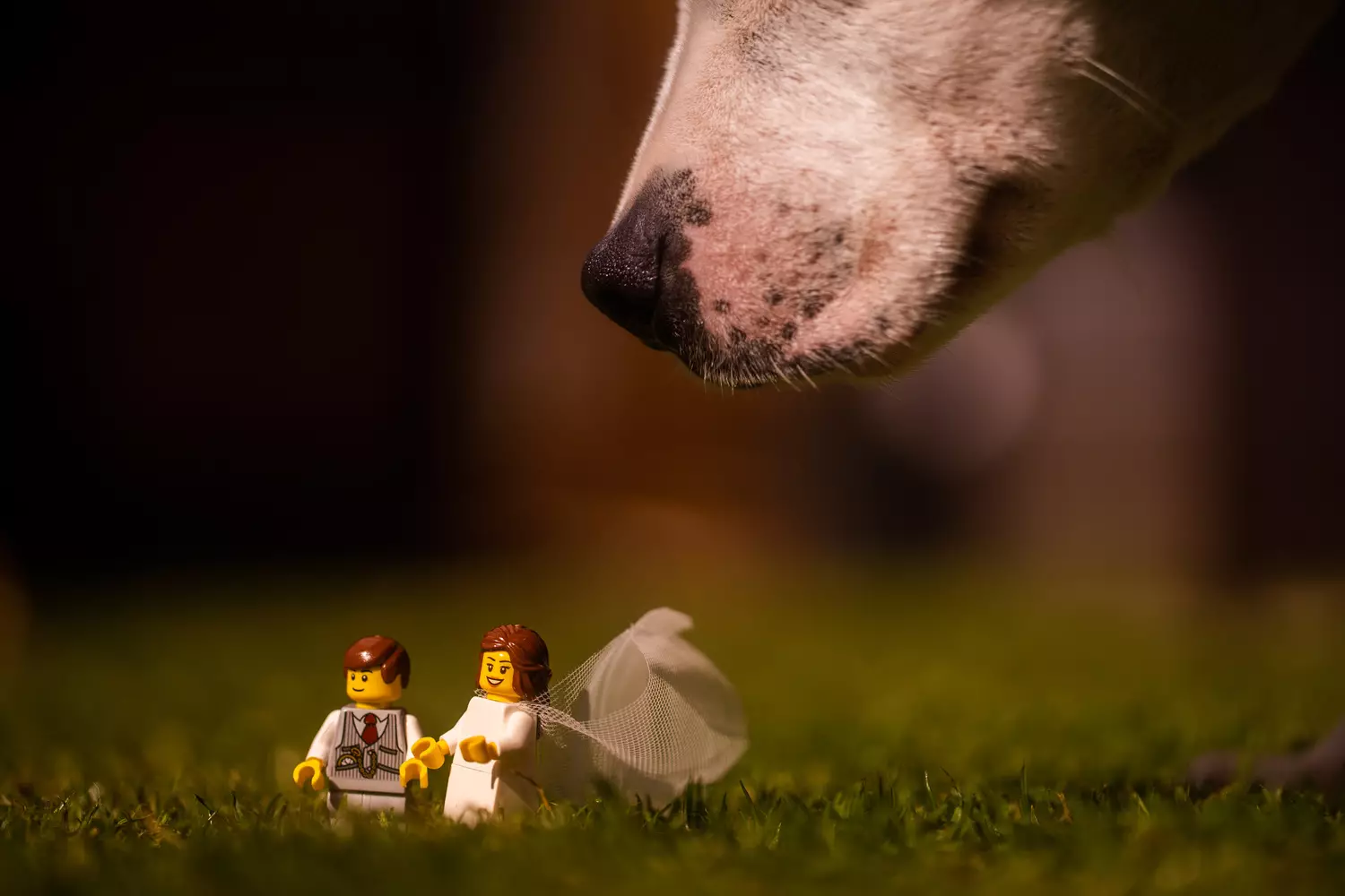 Fotograaf wat in kwarantyn geplaas is, neem die hele troudag van Lego-karakters by die huis vas vir skreeusnaakse fotoreeks 37342_11