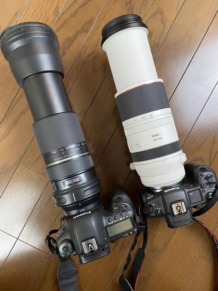 Fstoppers revize lantiy Canon RF100-500mm: Premye enpresyon mwen yo eksepsyonèl 38708_3