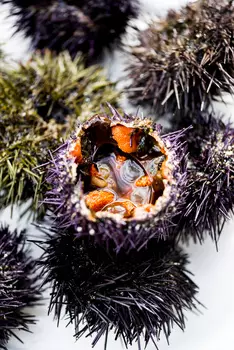 Photographie culinaire : il ne s'agit pas seulement de nourriture 39092_9