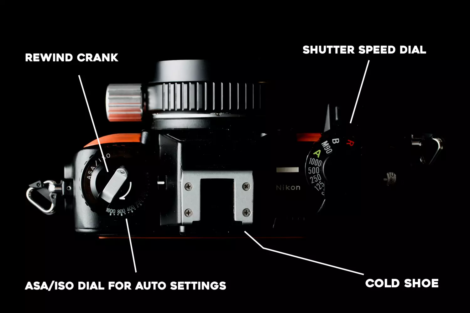 Fstoppers Analog Review: Nikonos V. 40517_1