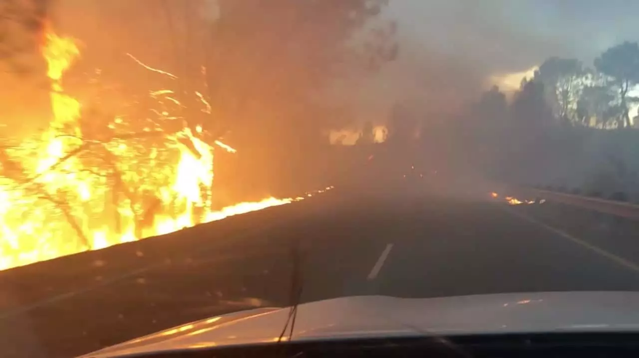 Fotograf sotva uniká pred kalifornskými požiarmi a fotografickými komunitnými zhromaždeniami na podporu 40647_4