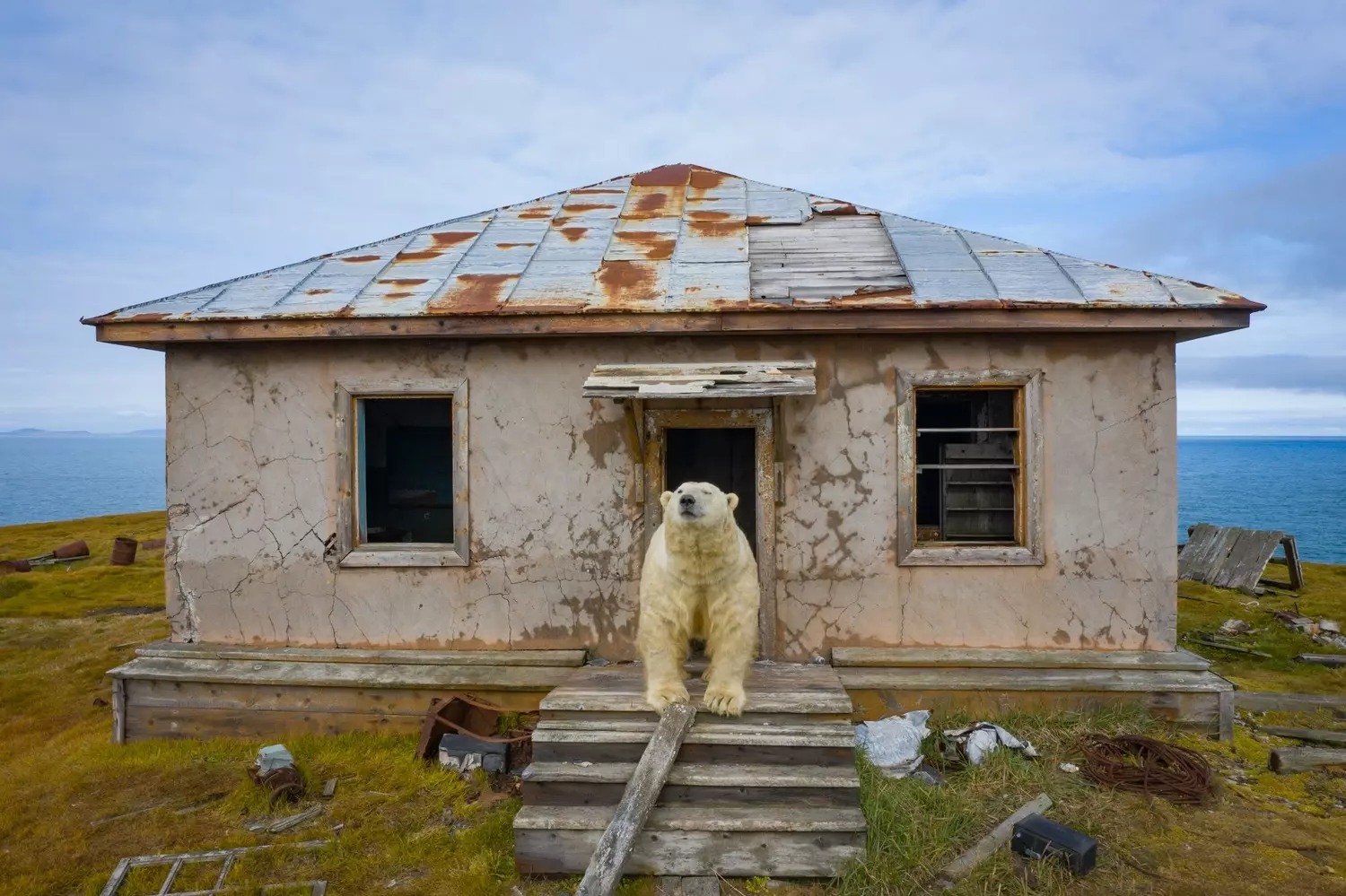 ფოტოგრაფმა მიტოვებულ კუნძულზე მეტეოროლოგიურ სადგურზე პოლარული დათვები დაიჭირა 4135_4