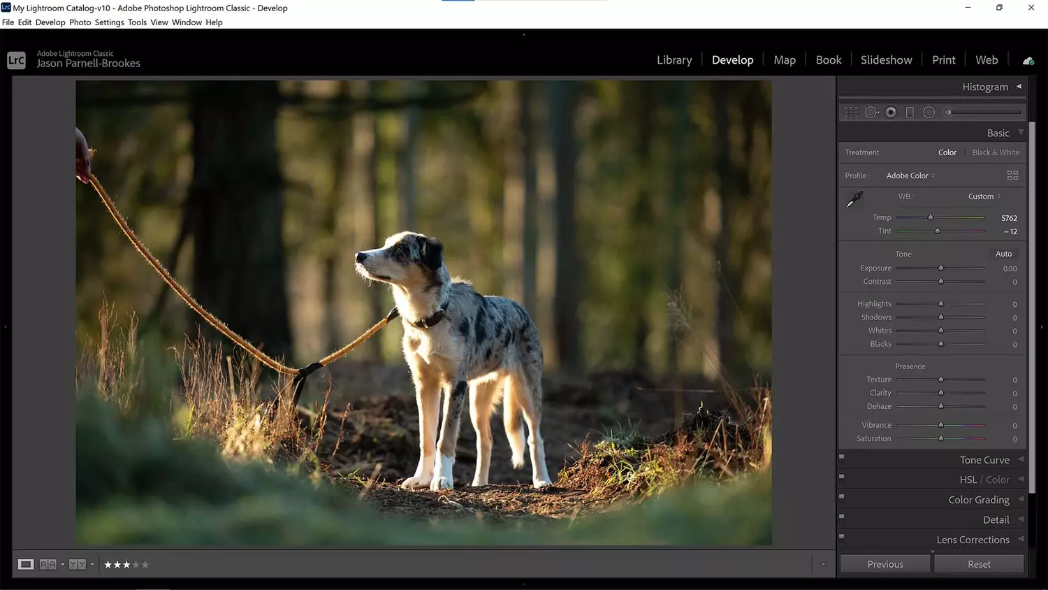 Rediģējiet labākus suņu portretus, izmantojot Lightroom un Photoshop CC 4149_3