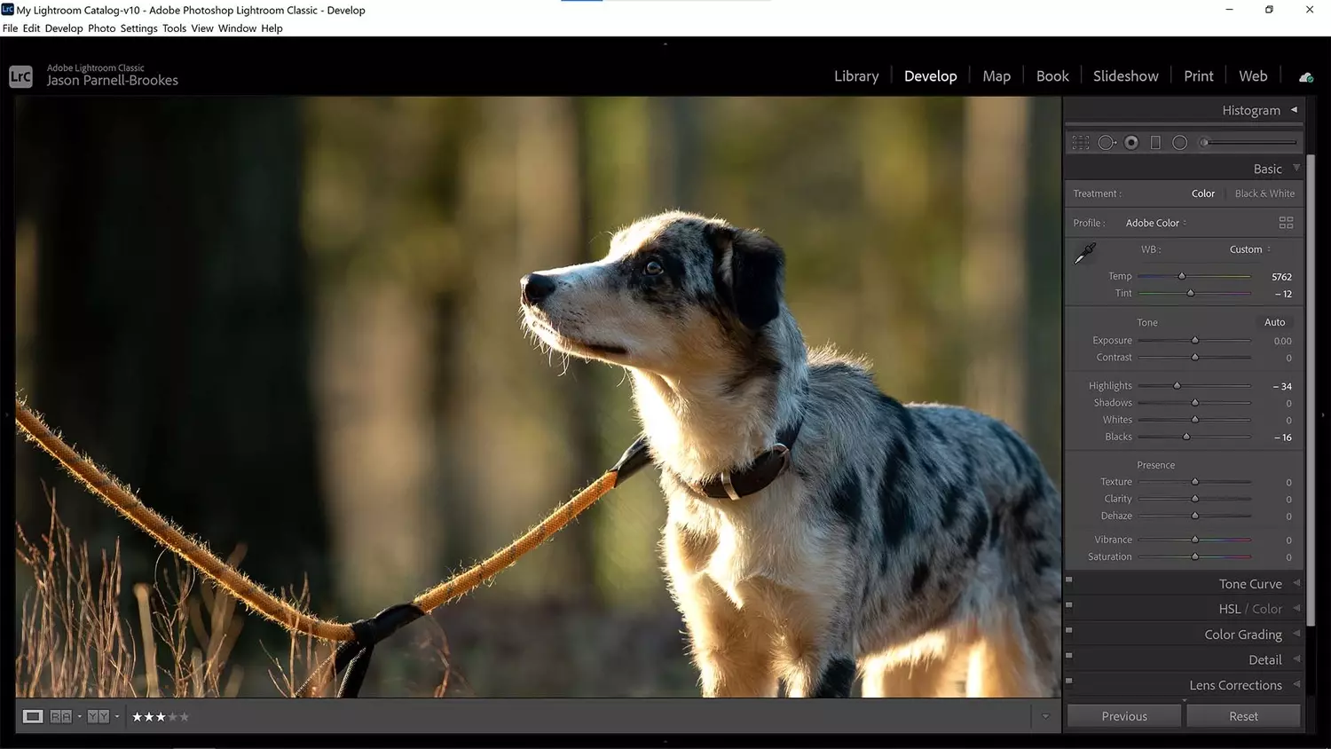 Edytuj lepsze portrety psów za pomocą programu Lightroom i Photoshop CC 4149_4