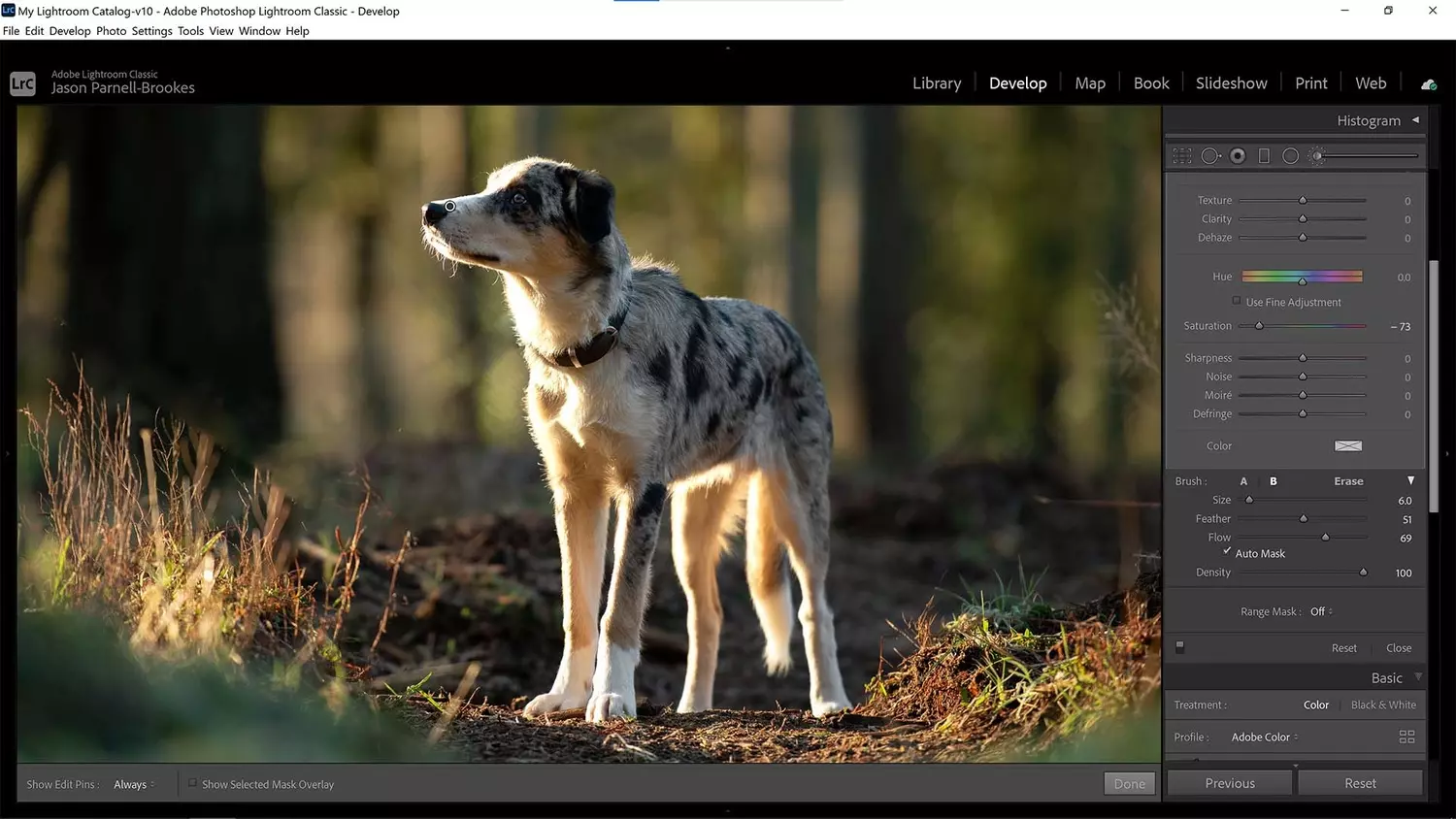 Modifier de meilleurs portraits de chiens avec Lightroom et Photoshop CC 4149_8