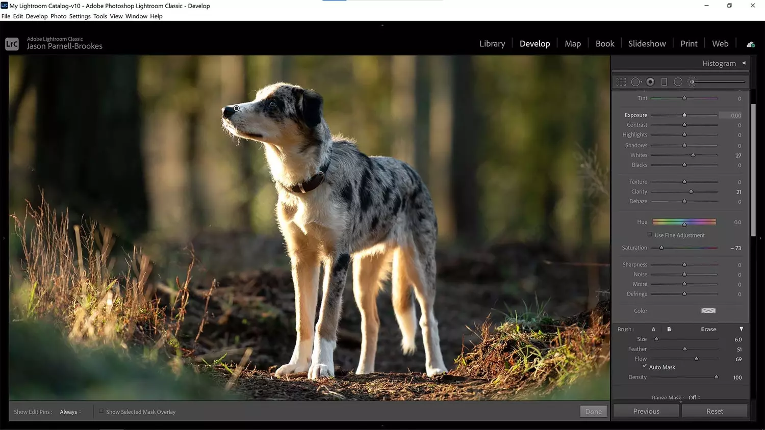 Edite melhores retratos de cães com Lightroom e Photoshop CC 4149_9