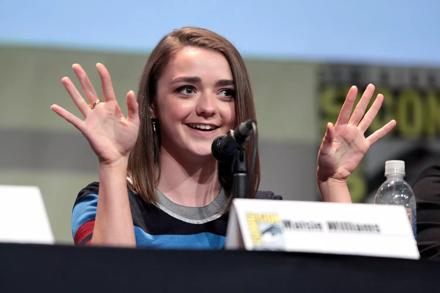 Daisie Ke Sesebelisoa se Tlang sa Mecha ea Mecha ea Sechaba e Reriloeng ho Boqapi, E tšehelitsoe ke Setšoantšisi Maisie Williams 415049_2