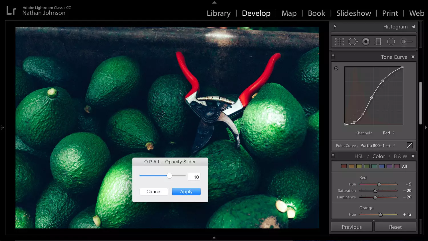 Fstoppers Review Opal Opacity Plugin ho an'ny Lightroom 41506_3