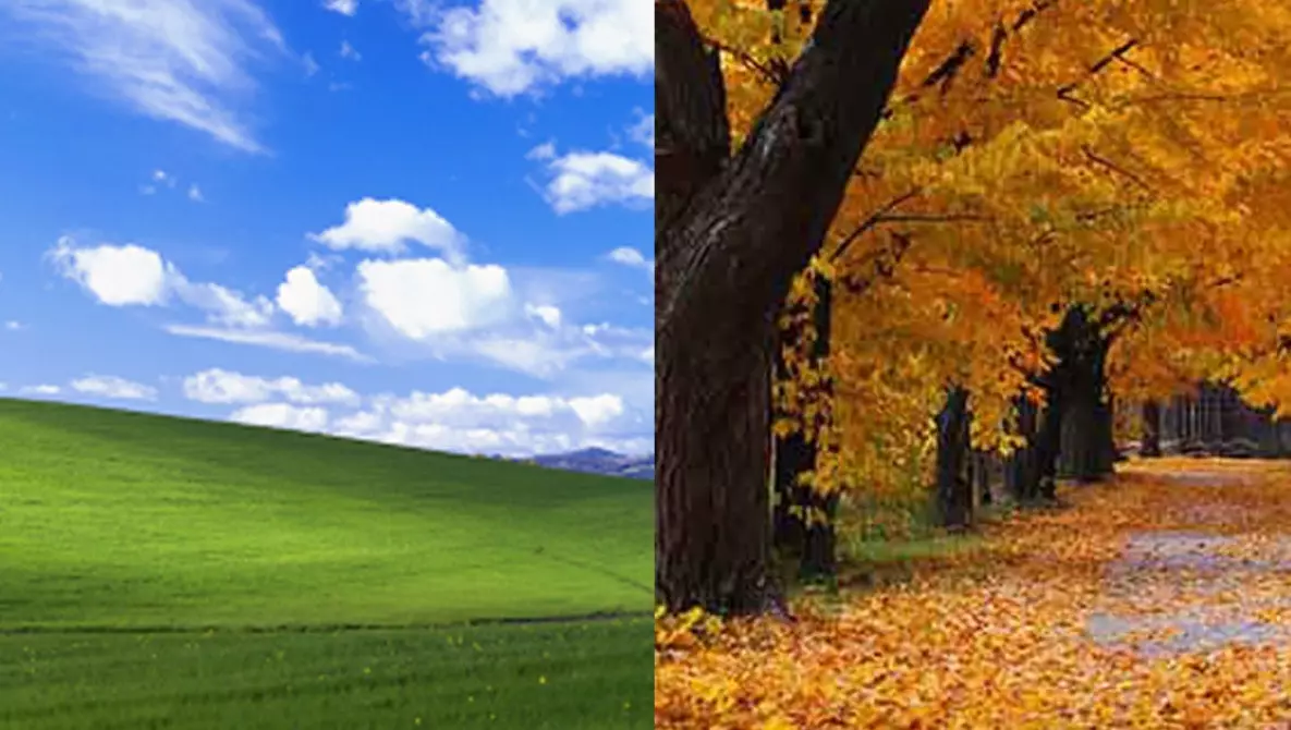 $ 100.000 Vs. $45: Perbedaan yang Dibayarkan kepada Fotografer di Balik Gambar Microsoft Windows ini