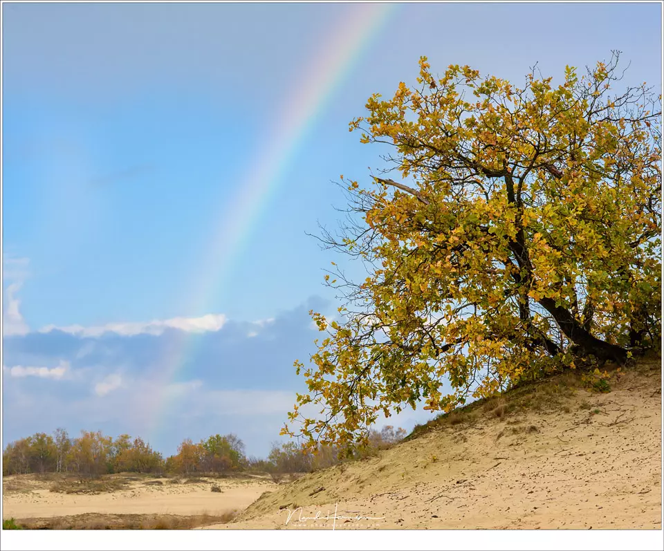 راهنمای نحوه عکاسی از رنگین کمان 41893_20