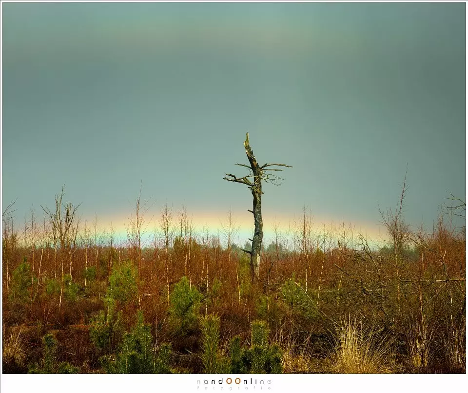 Ein Leitfaden zum Fotografieren von Regenbogen 41893_4