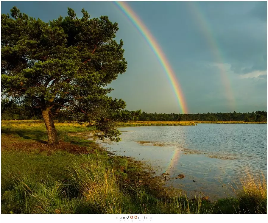 রংধনু ফটোগ্রাফ কিভাবে একটি নির্দেশিকা 41893_7