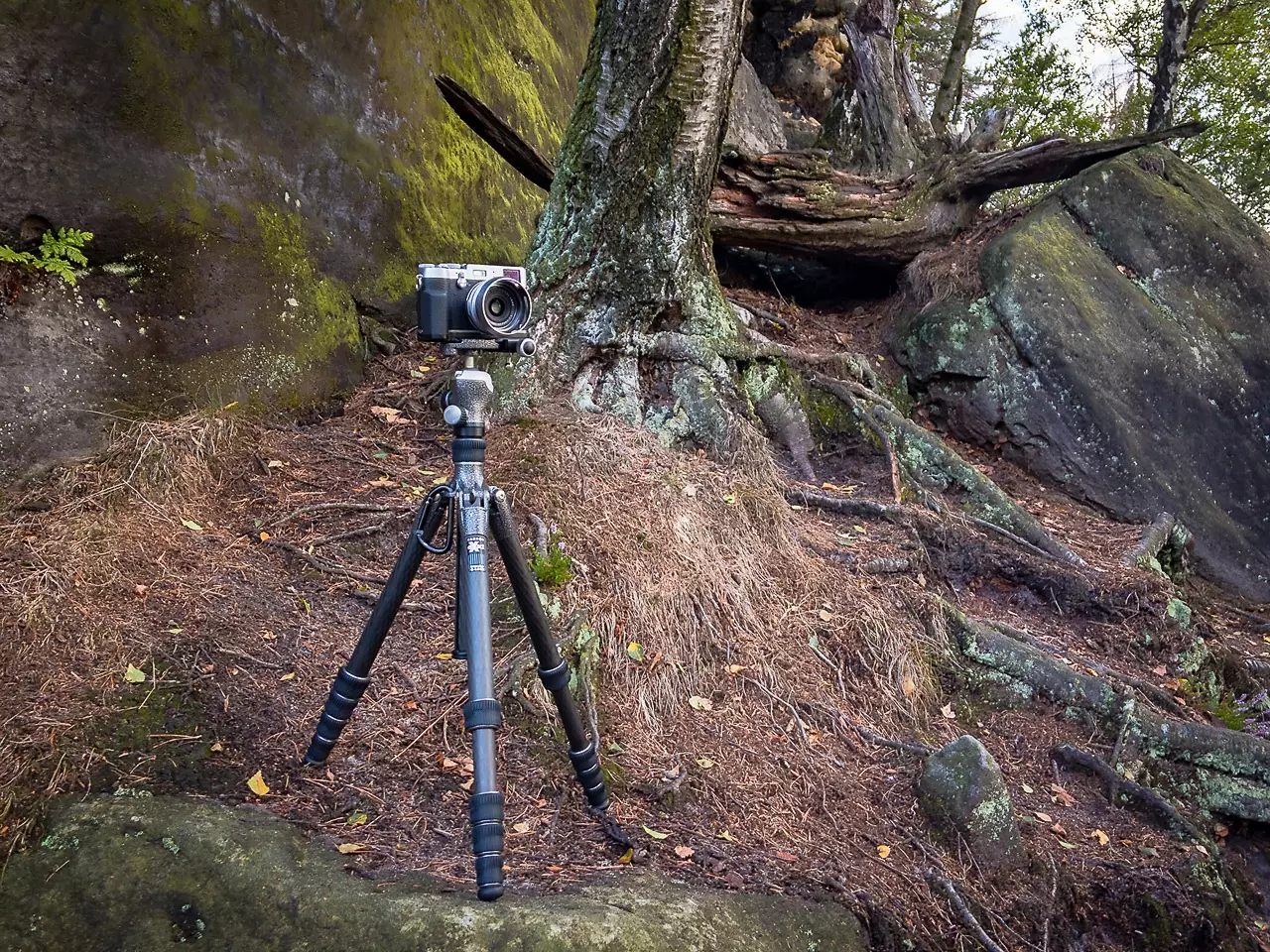 Arin ajo Gitzo Tripod: Ṣe O tọ Owo naa? 42345_4