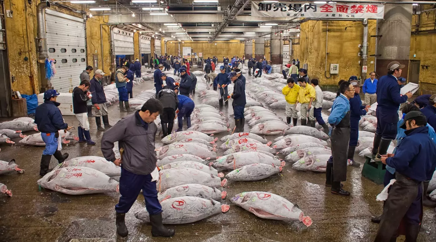 התנסו בצילום שוק הדגים בטוקיו לפני שההיסטוריה תיעלם 43669_2