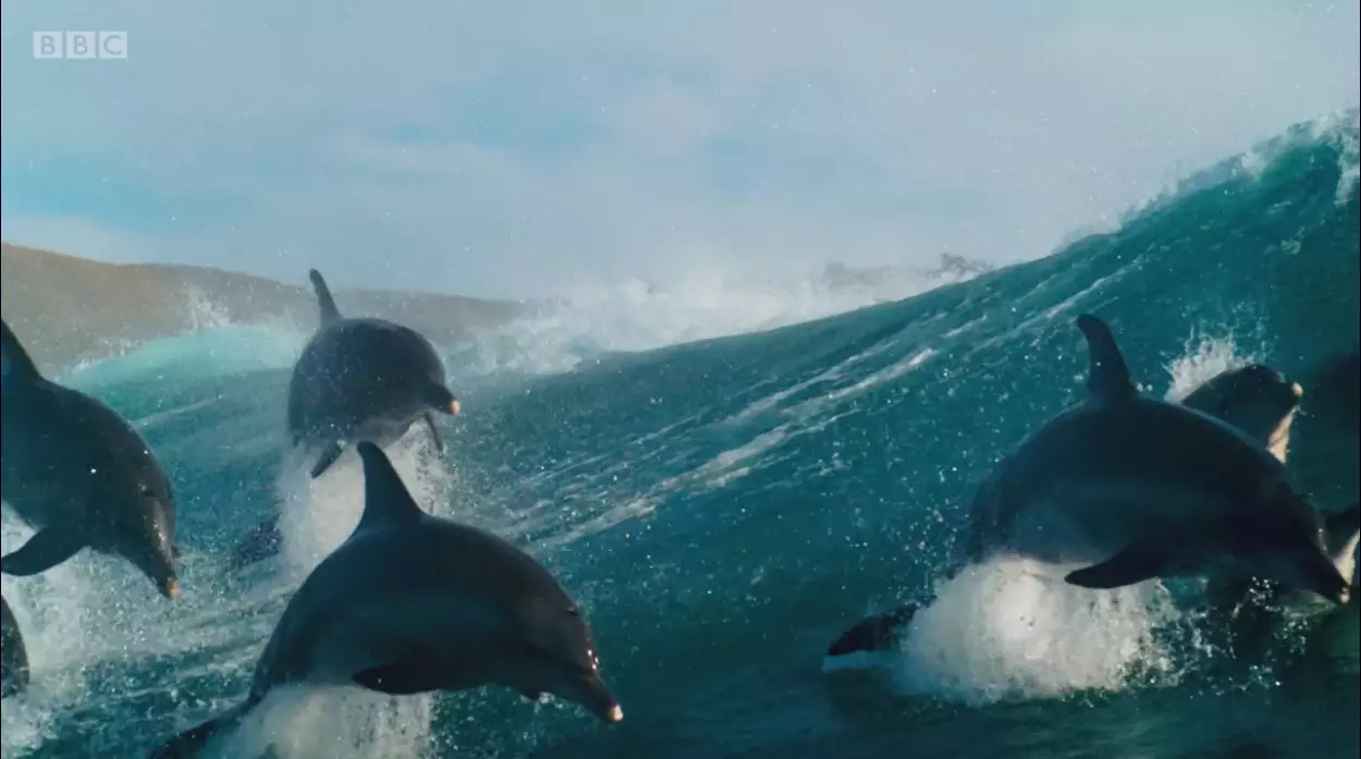 „Blue Planet“ frá BBC er aftur og það er betra en nokkru sinni fyrr 44005_1