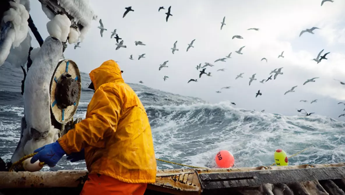 Searje dokumintearret it gefaarlike, fassinearjende wurk fan kommersjele fiskers oan 'e Beringsee