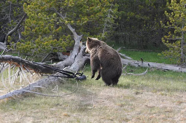 Камера vs. Wild: The Damage Waiver Bearly го покрива овој 446517_3