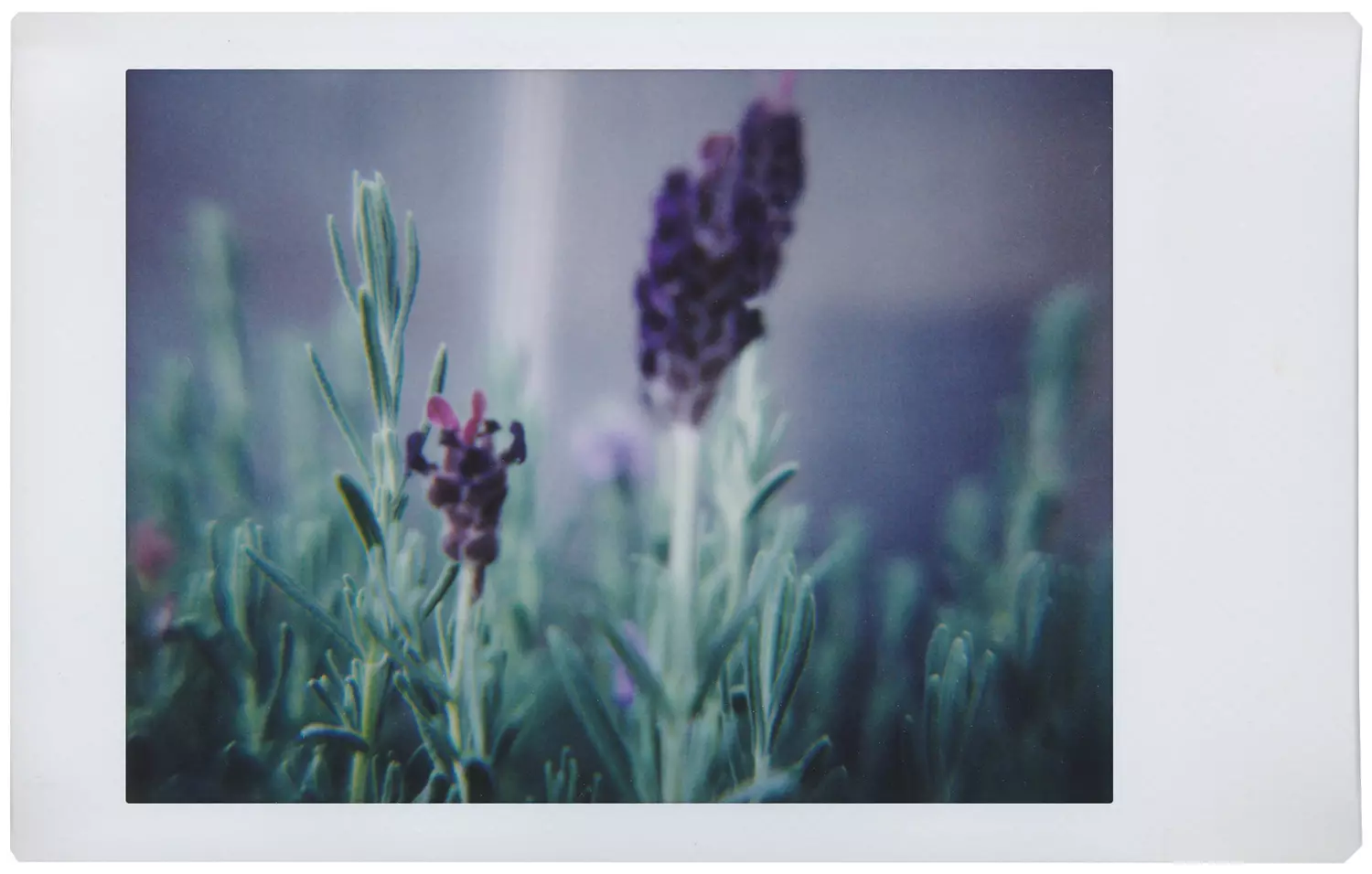 Lomography يېڭى Lomo'Instant ئاپتوماتىك كامېرا ئۈچۈن Kickstarter نى چىقاردى 447019_9