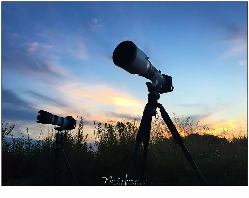 Tieħu gost Bil-Canon EF 800mm f/5.6L għal Waqt Qasir 449318_1