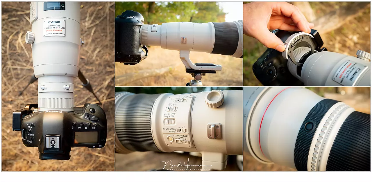 Distrează-te cu Canon EF 800mm f/5.6L pentru o scurtă perioadă 449318_5