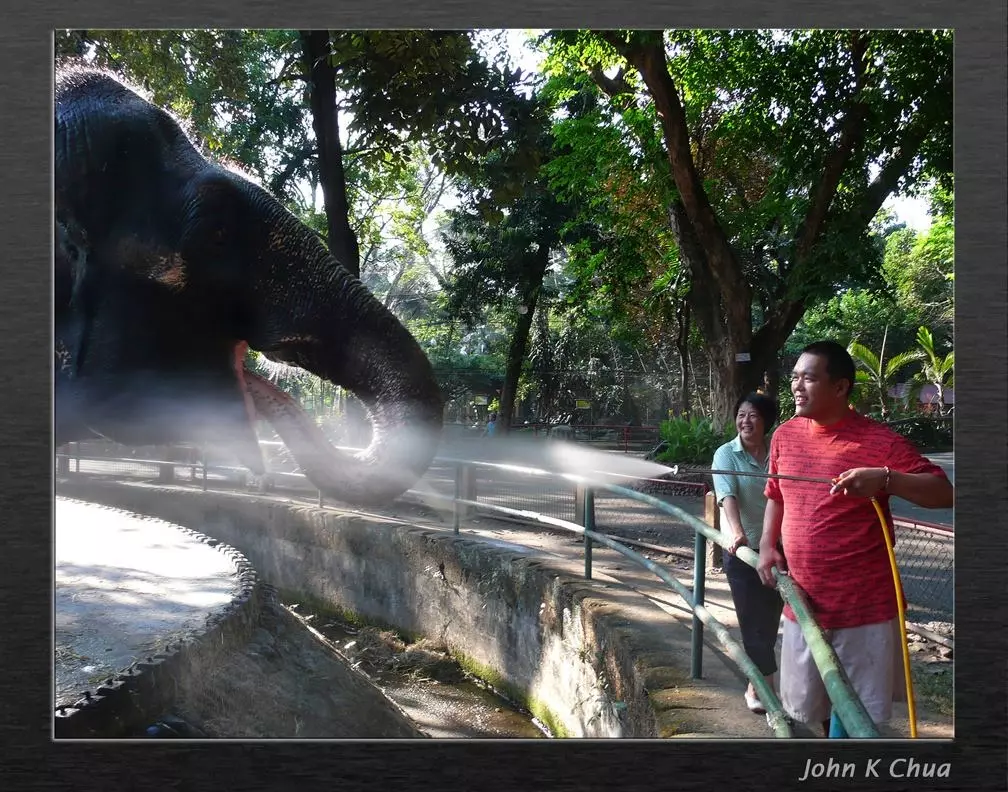 ഒരു ഇതിഹാസ പരസ്യ ഫോട്ടോഗ്രാഫറുടെ ജീവിതത്തിൽ നിന്നുള്ള വിജയത്തെക്കുറിച്ചുള്ള 5 പാഠങ്ങൾ 4713_6