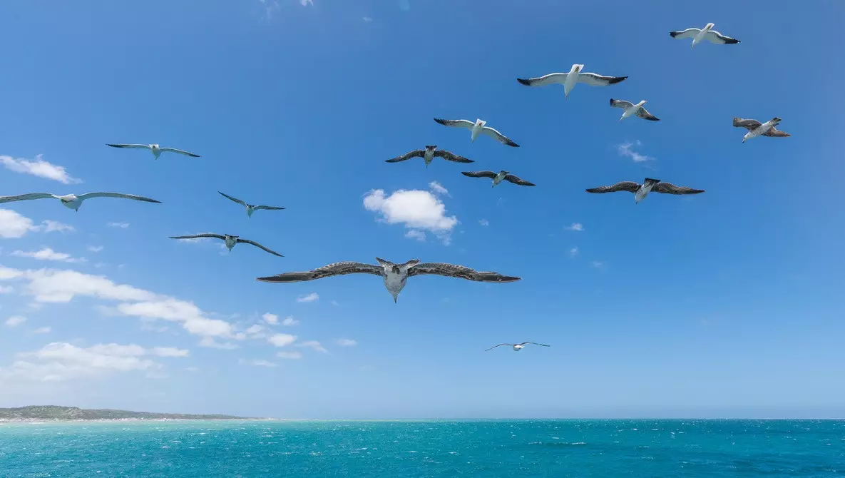 Uno dei modi migliori per diventare un fotografo migliore