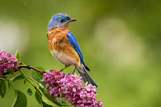 ಕೊನೆಯ ಅವಕಾಶ: ನಮ್ಮ ವರ್ಷದ ಛಾಯಾಗ್ರಾಹಕನನ್ನು ಆಯ್ಕೆ ಮಾಡಲು ಸಹಾಯ ಮಾಡುವ ಮೂಲಕ ಪ್ರೀಮಿಯಂ ಎಫ್ಸ್ಟಾಪರ್ಸ್ ಟ್ಯುಟೋರಿಯಲ್ ಅನ್ನು ಗೆಲ್ಲಿರಿ 4798_53