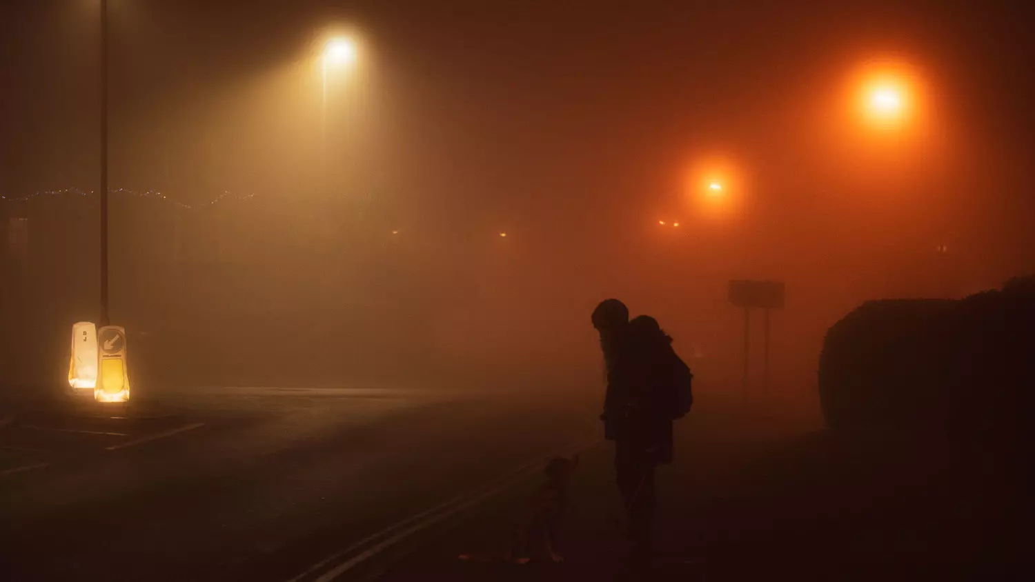 Πώς επιλέγετε μία φωτογραφία από πολλές παρόμοιες λήψεις; 4841_5