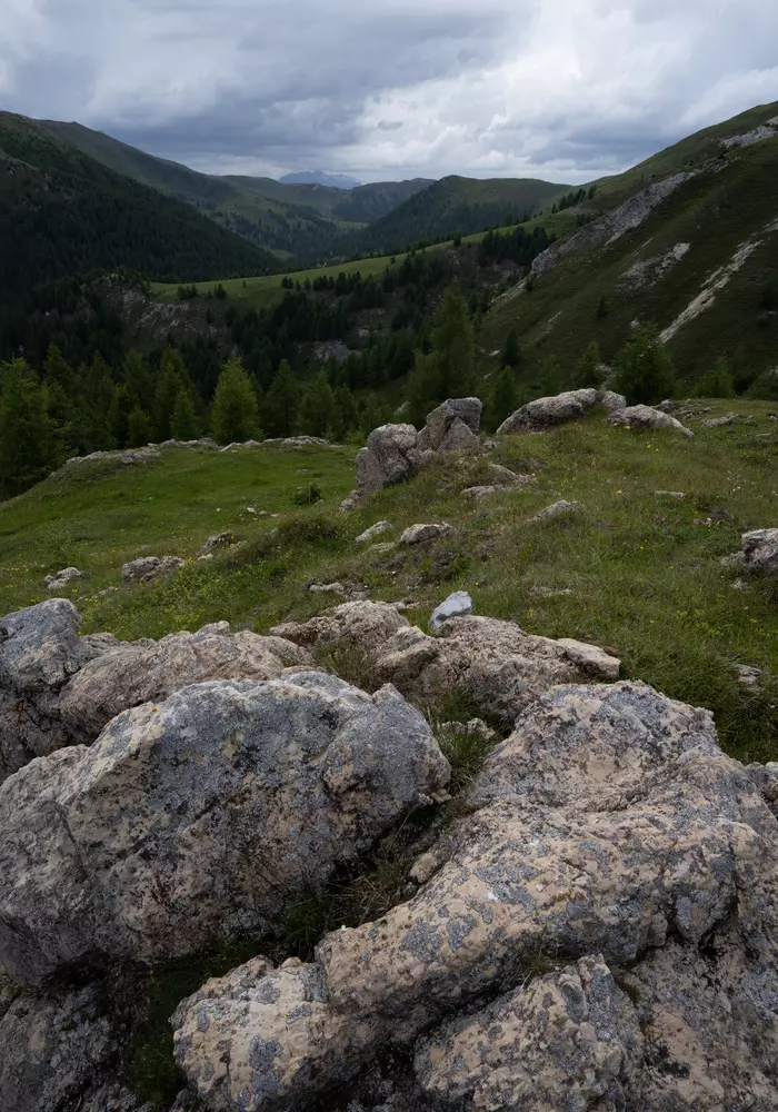 Бейнелеу өнерінің фотосуретін қалай бастау керек 5309_5