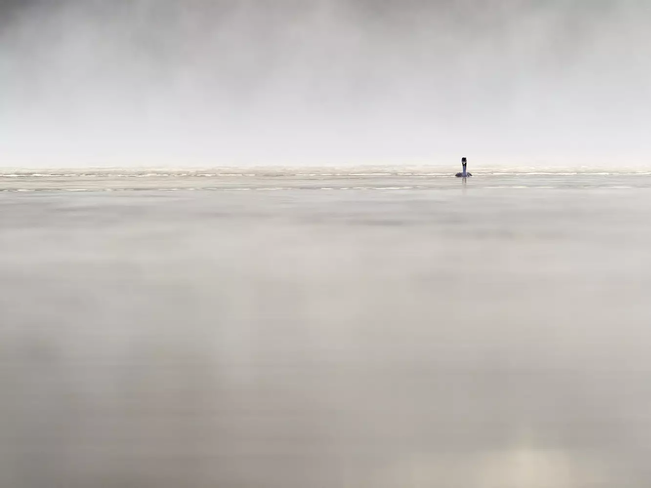 Hoe technologie een revolutie teweegbrengt in natuurfotografie 5773_2