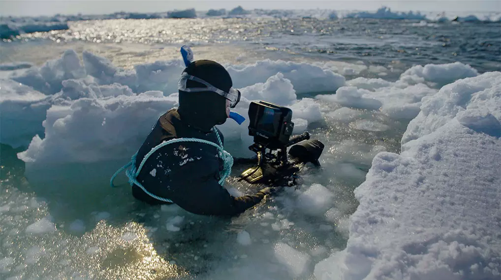 Kumaha National Geographic sareng BBC Filmmaker Bertie Gregory Nangkep Paripolah Sato 5779_8