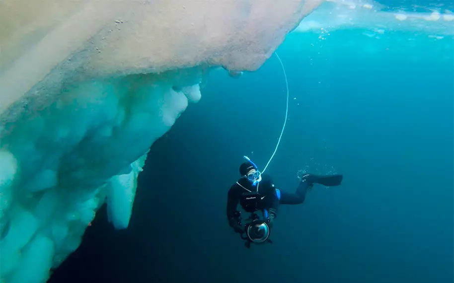 Kumaha National Geographic sareng BBC Filmmaker Bertie Gregory Nangkep Paripolah Sato 5779_9