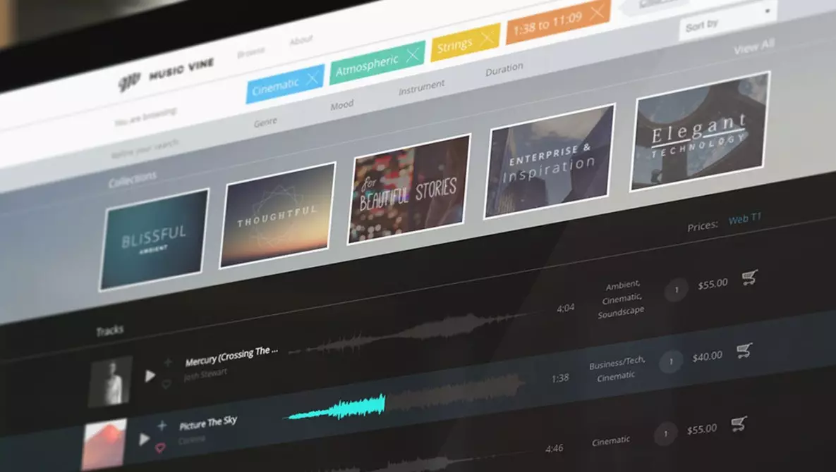 ინტერვიუ Music Vine-თან, ახალი სახელი ვიდეოს მუსიკის ლიცენზირებაში