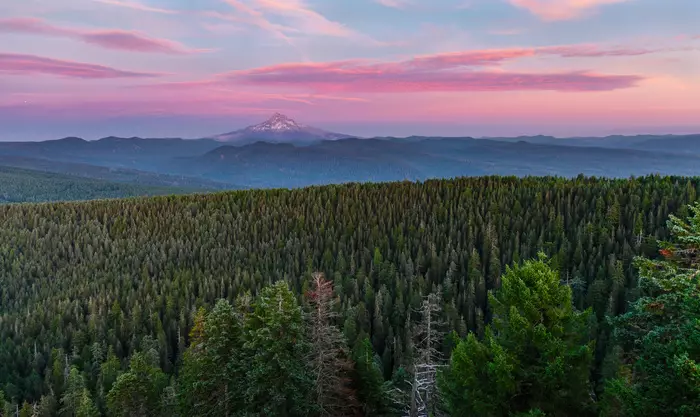 Fstoppers-ի ամսվա լուսանկարիչ (հոկտեմբեր, 2020). Քևին Մորֆիլդ 6510_2