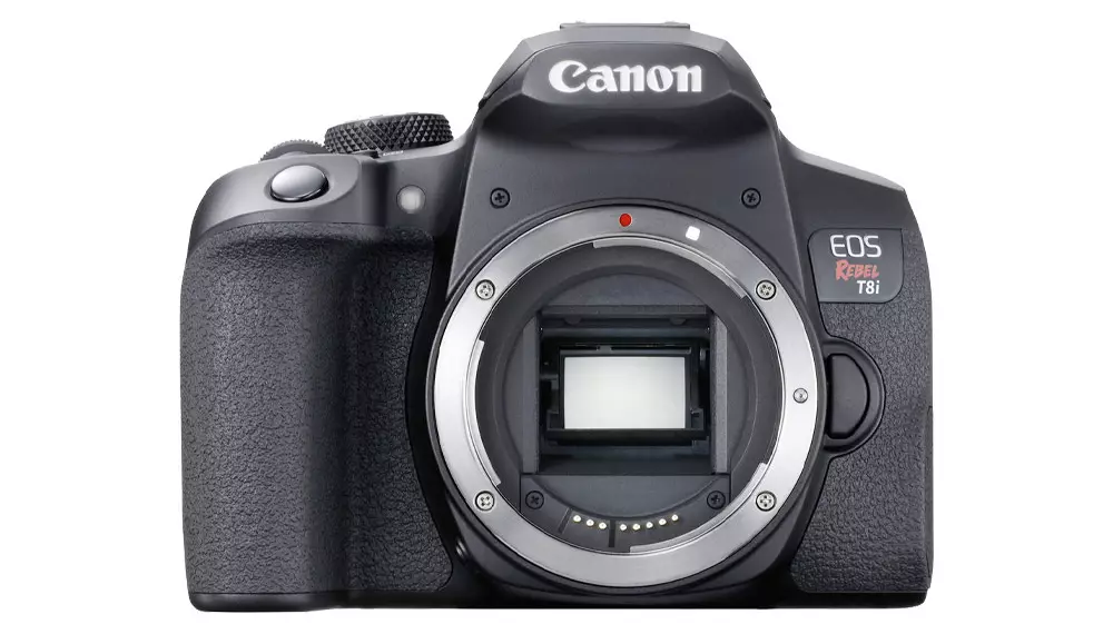 APS-C キャノン EOS R7 はもう一歩近づいた? 6623_2