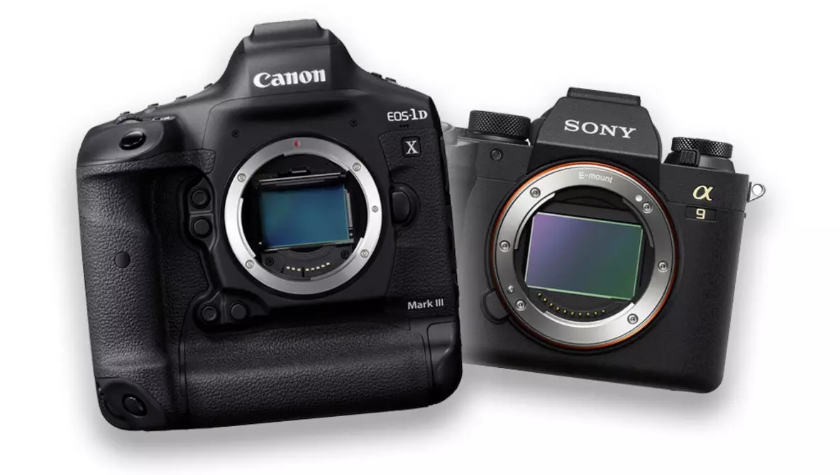 Canon 1D X Mark III مقابل Sony a9 II: أيهما يحتوي على تركيز بؤري تلقائي أفضل؟