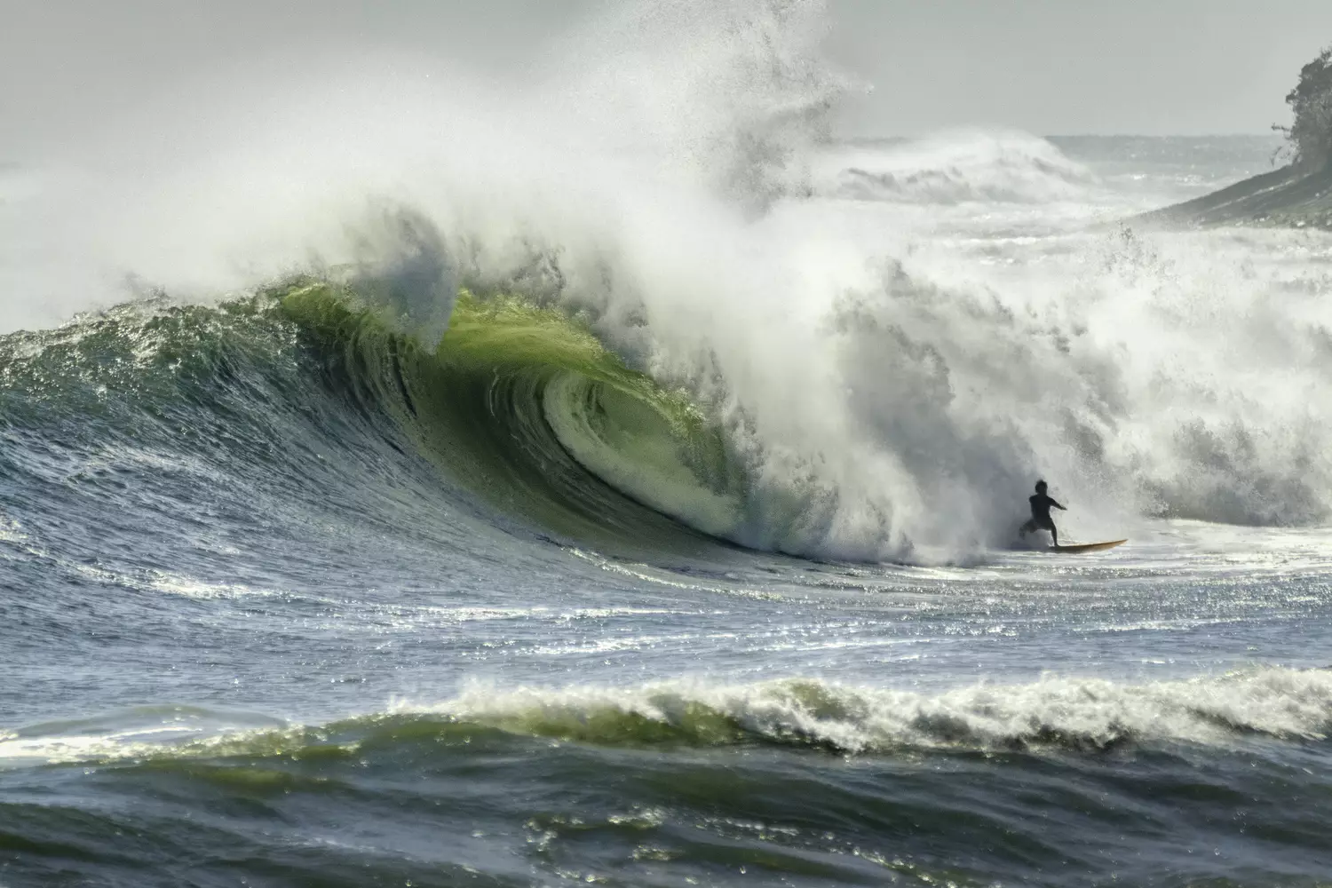 Daredevil surfarid astuvad uskumatute tulemustega vastu tohutule Jaapani taifuunile 6889_7