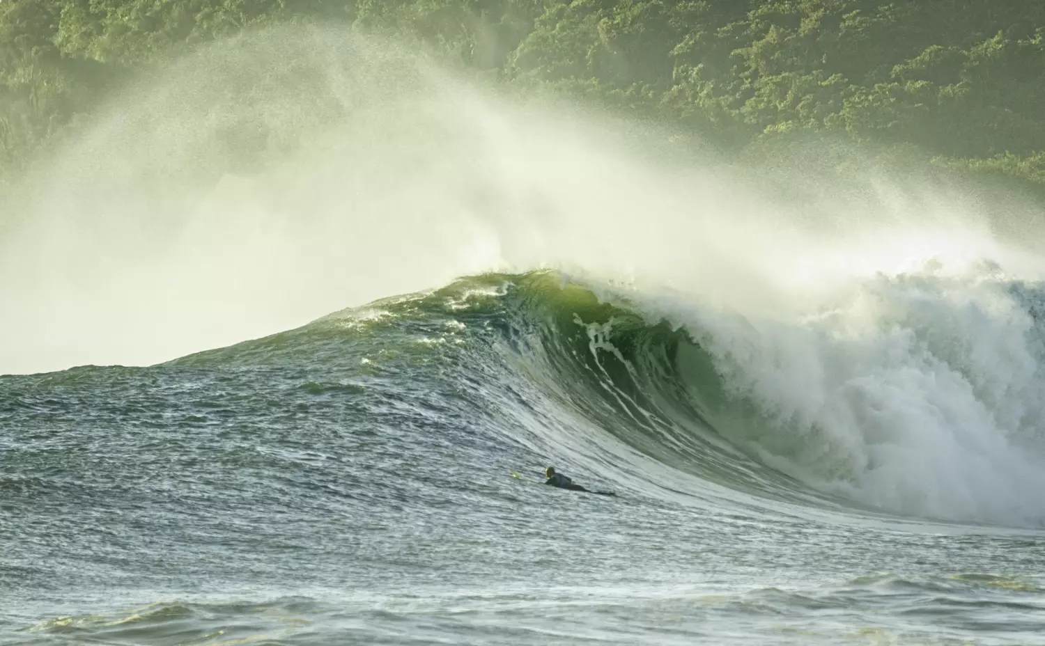 Daredevil-surfere tar fatt på den massive japanske tyfonen med utrolige resultater 6889_9