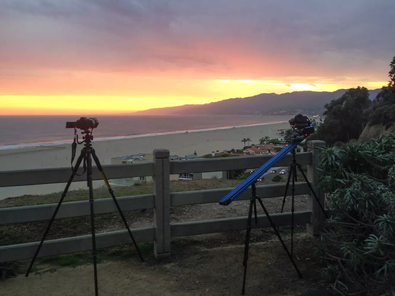 Калифорнија за четири минути: Истражете ги најдобрите природни чуда на Америка и урбаните пејзажи 7136_2