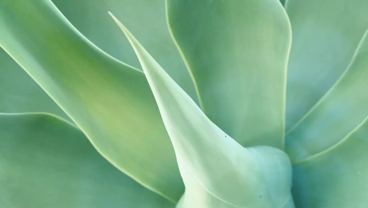 Com es pot obtenir més amb menys a la fotografia