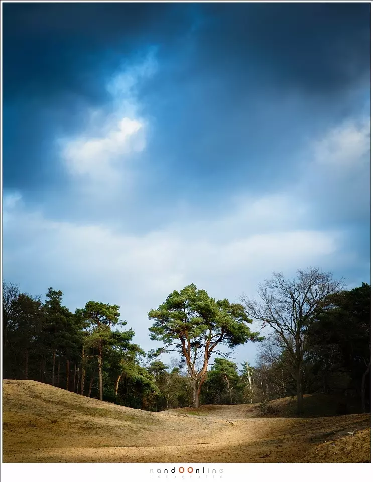 Soyez toujours patient avec les paysages : attendez le bon moment 80731_11