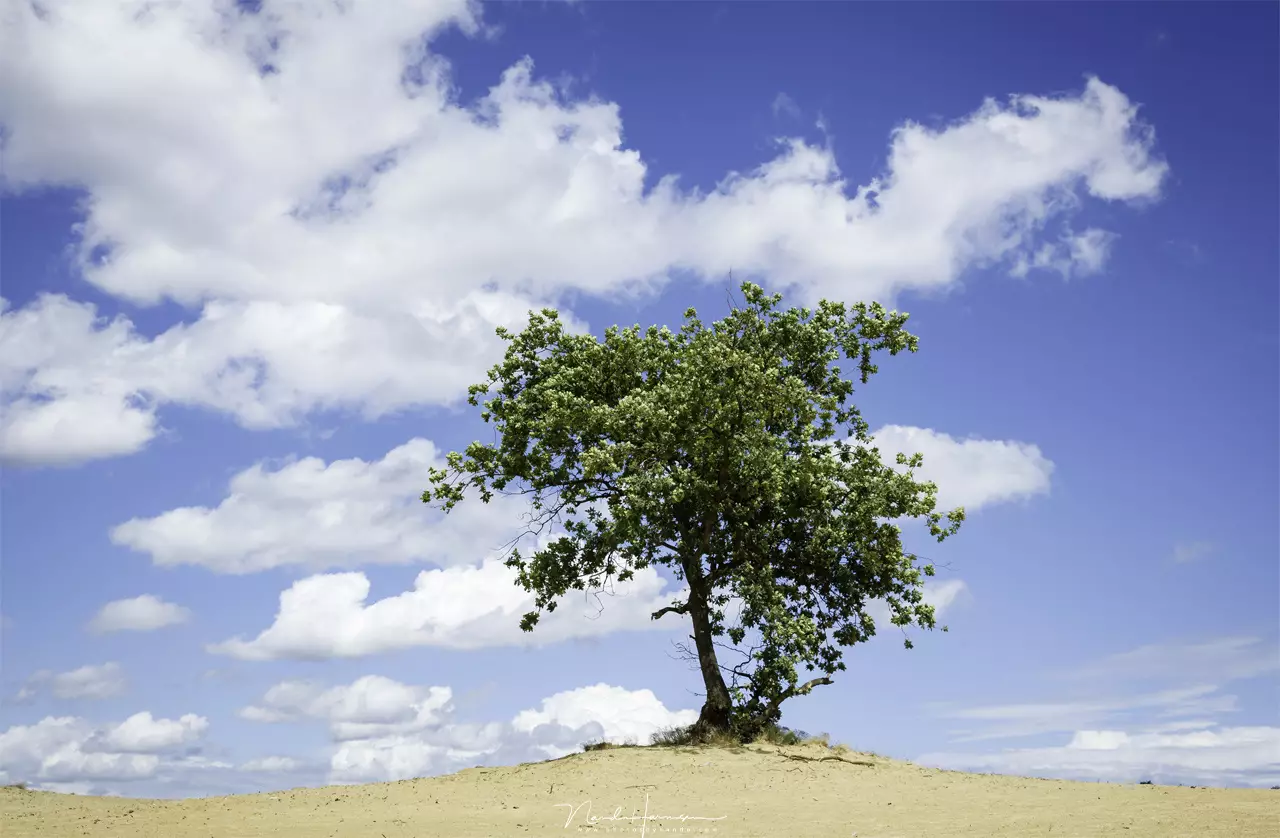 Seja sempre paciente com paisagens: espere o momento certo 80731_5